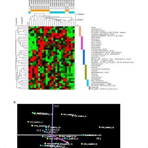A Hierarchical Trees For Both Samples And Metabolites Based On