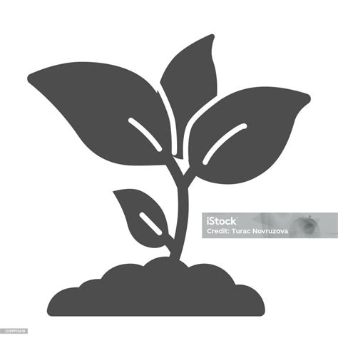식물 새싹 단단한 아이콘 농업 개념 흰색 배경에 잎 기호와 젊은 성장 모바일 개념 및 웹 디자인에 대 한 문말 스타일의 모종