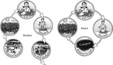 3 Closing The Human Nutrient Cycle From Jenkins Jc The Humanure