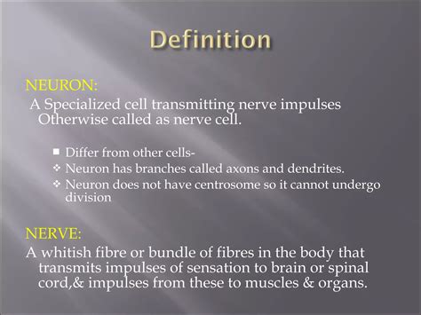Nerve Ppt PPT