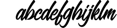 Casual Script Font Bundle Font What Font Is