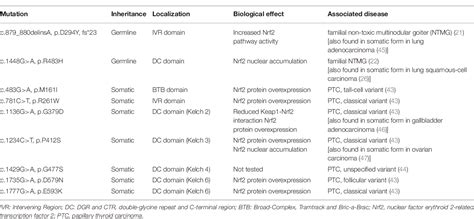 Figure 4 From Keap1 Nrf2 Signaling A New Player In Thyroid