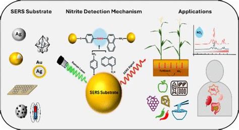Surface Enhanced Raman Spectroscopy For Nitrite Detection Journal Of Agricultural And Food