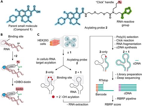 Cell Press Star Protocols