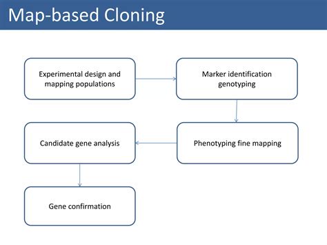 Map Based Cloningpptx Genetics Science