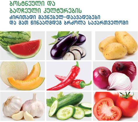 ელექტრონული ბიბლიოთეკა