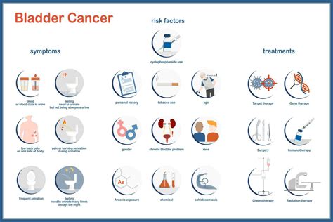 Vector Illustration Flat Style Bladder Cancer Symptoms Risk Factors