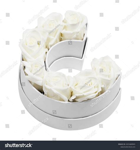 C Text Box Colorful Flowers On Stock Photo Shutterstock