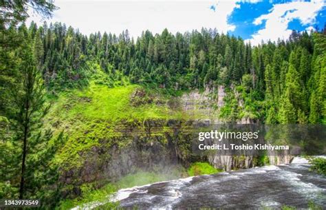 Caribou Targhee National Forest Photos And Premium High Res Pictures