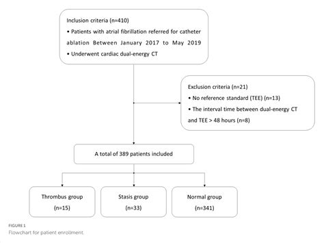 Figure 1 From Detection Of Left Atrial Appendage Thrombus By Dual