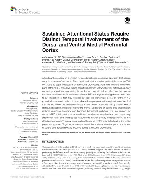 Pdf Sustained Attentional States Require Distinct Temporal Involvement Of The Dorsal And