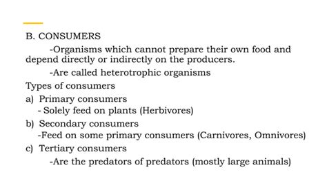 Ecosystem Group 4 Pptx Ecosystem And Its Structures Pptx