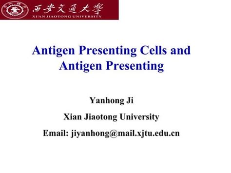 Antigen Processing And Presentation Pptx Biological Sciences Science