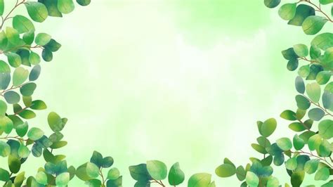 Fondo Eucalipto Verde Acuarela Naturaleza Creativo Agua Para Power