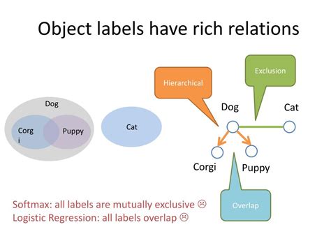 Ppt Large Scale Object Recognition Using Label Relation Graphs