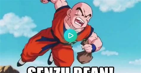 Senzu Bean Album On Imgur