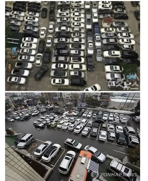 뚜벅이 졸업후 느끼는 것 포텐 터짐 최신순 에펨코리아