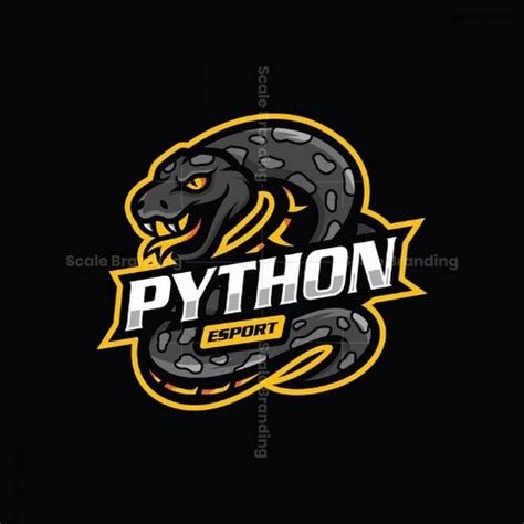 The Python Gaming Youtube