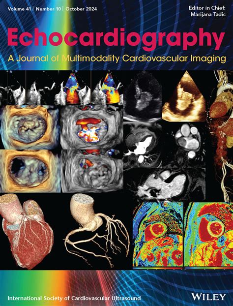 Assessment Of The Right Ventricle Function In Patients With Significant