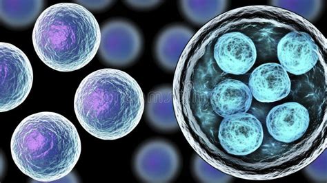 Abstract Representation Of Biological Cells And Their Structures Under A Colorful Microscope