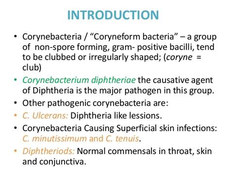 Corynebacterium