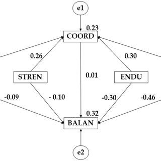 Effects Of Variables For The Male Sex Before Implementing The Download Scientific Diagram