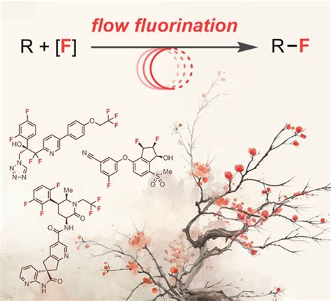 Advances In Continuous Flow Fluorination Reactions Lee 2023 Chemistry An Asian Journal