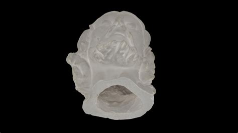 Artstation Photogrammetry Scan Gypsum Head Resources