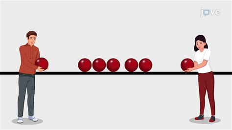Video Gestalt Principles Of Perception