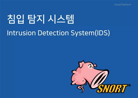 Iaas Cloud에서의 통합 모니터링 및 침입 탐지 체계 도입 Pdf