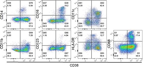 Cd38 Expression In Macrophages In Hcc Tissues Was Validated Using Flow