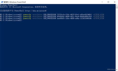Win10 Win11 12代 13代 大小核；性能核；电源选项；p Coree Core；win10大小核调度 Csdn博客