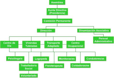Xunta Directiva E Organigrama Asociación Agora