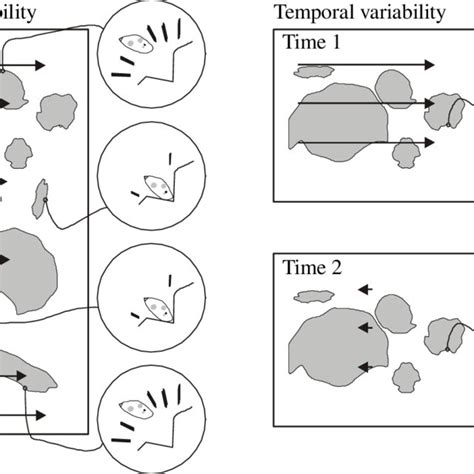 Representation Of The Effects Of Small Spatial And Temporal Variability Download Scientific