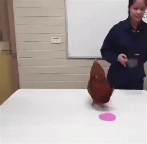 Nidhi M Posted On Linkedin