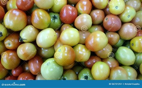 Local Tomatoes Stock Image Image Of Store Philippine 56731251