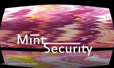 Mint Security Veracode