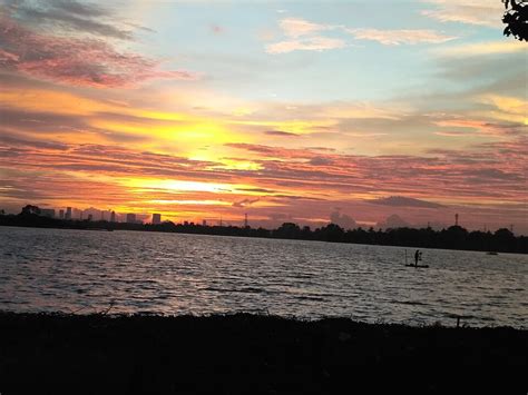 Situ Rawa Cipondoh Wikipedia Bahasa Indonesia Ensiklopedia Bebas