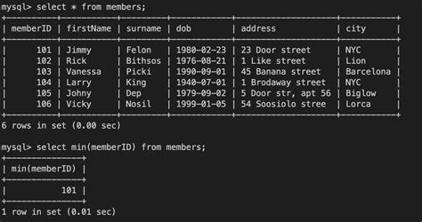 database project