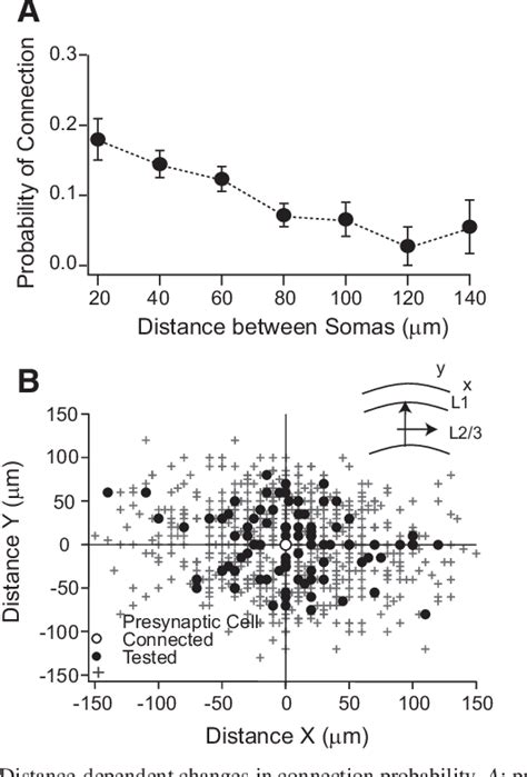 Table 1 From Maturation Of Intrinsic And Synaptic Properties Of Layer 2