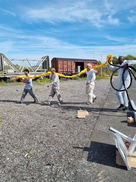 Vms And Pfas Detection Sensoil