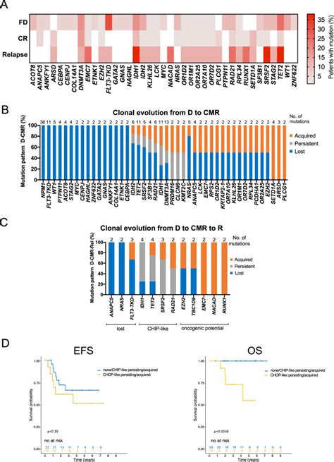 Indeterminate And Oncogenic Potential Chip Vs Chop Mutations In Aml