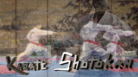 Kata Shotokan Morote Keitō Uke 諸手鶏頭受け Two Handed Chicken Head