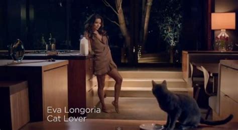 Gender And Sexuality In The Dine Cat Food Advertisement Download Scientific Diagram