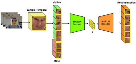 논문 리뷰 Transformer With Leveraged Masked Autoencoder For Video Based
