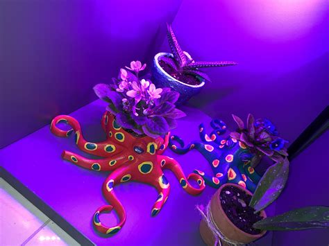 My Plant Cubby 🌿 Rindoorgarden