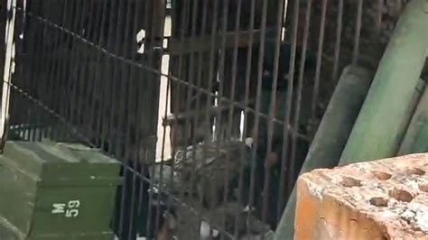 They Beat The Hell Out Of Us And Stripped Us Naked Asylum Seekers