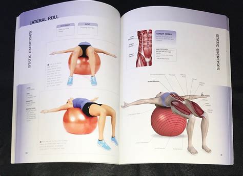 Anatomy Of Core Stability Book Hobbies And Toys Books And Magazines