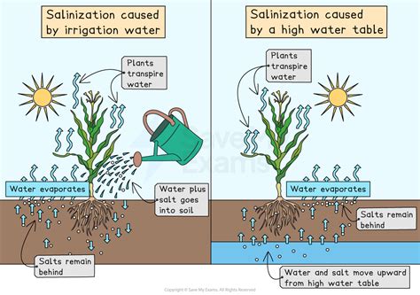 Impacts Of Irrigation Ap Environmental Science