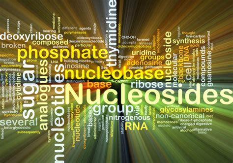 รูปภาพnucleotides เลือกดูภาพถ่ายสต็อก เวกเตอร์ และวิดีโอ6452 Adobe